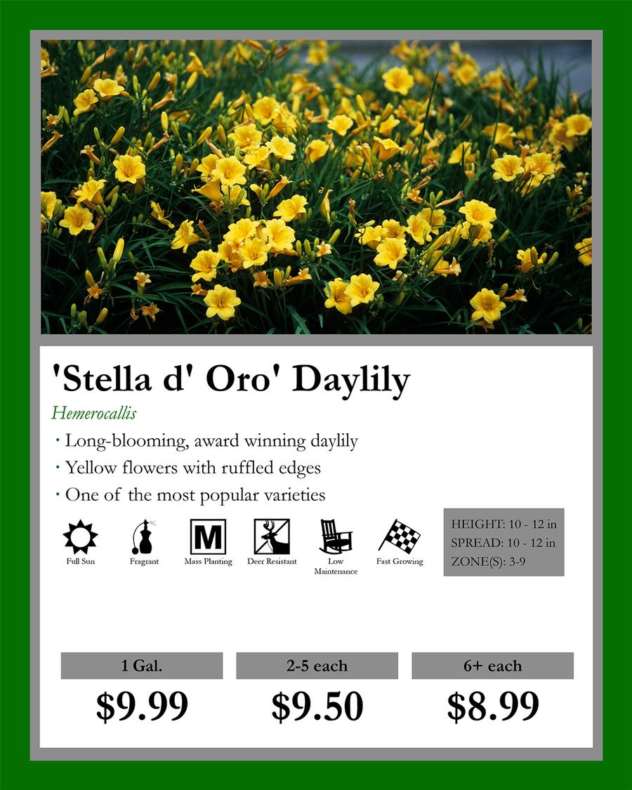 Sign Template Selector